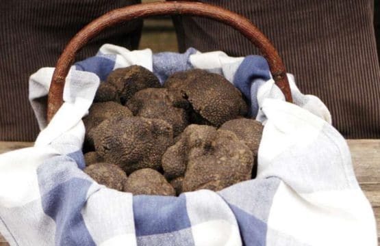 The village of Sainte-Alvère - Grand Périgueux Tourist Office
