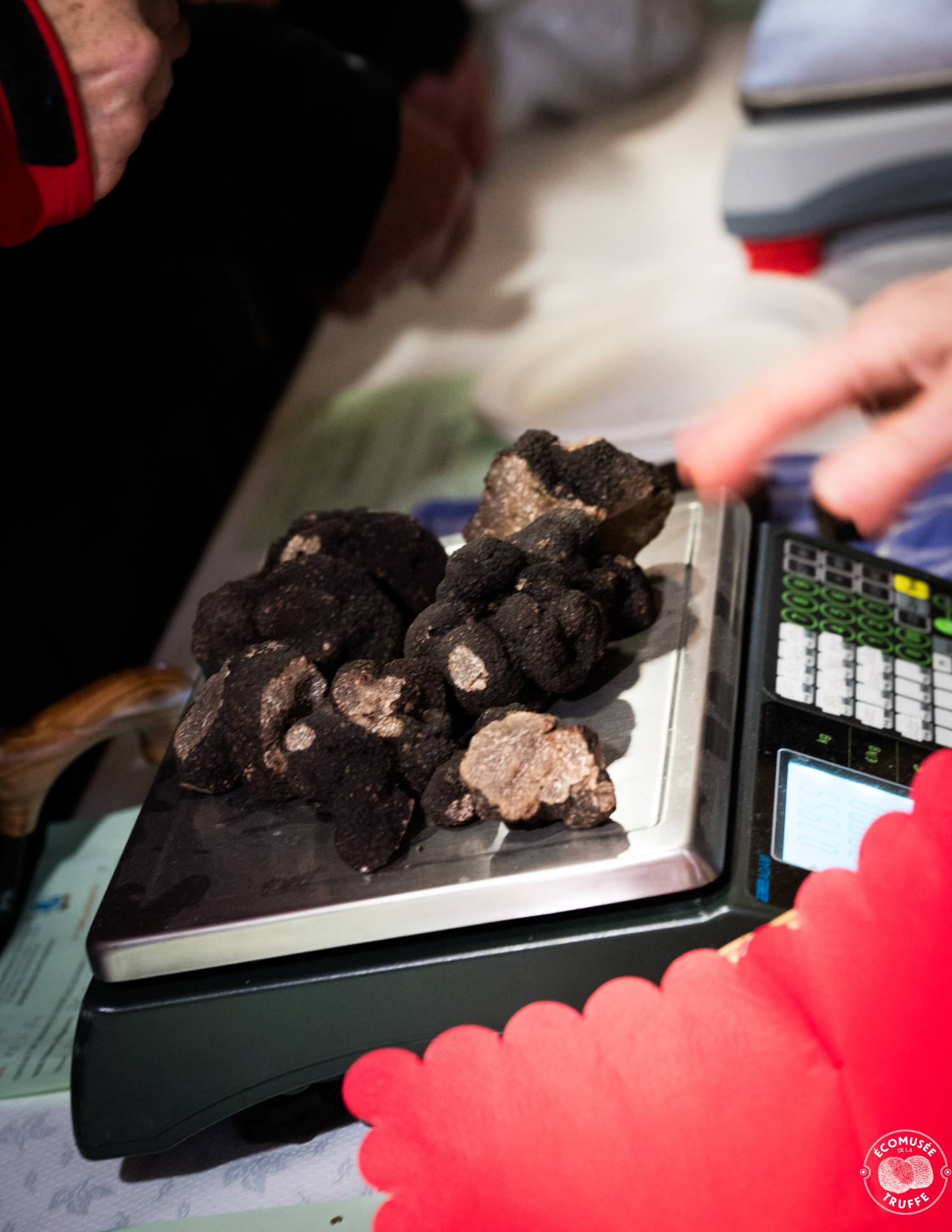 La saison de la truffe d'hiver 2024-2025 - Office de Tourisme ...
